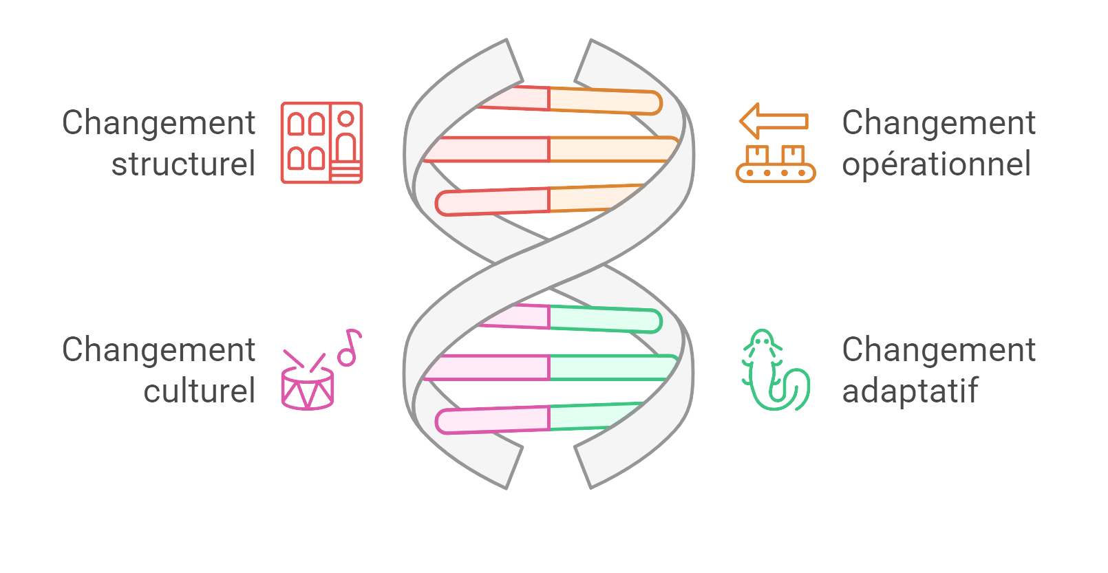 Comprendre les 4 types de changement en entreprise